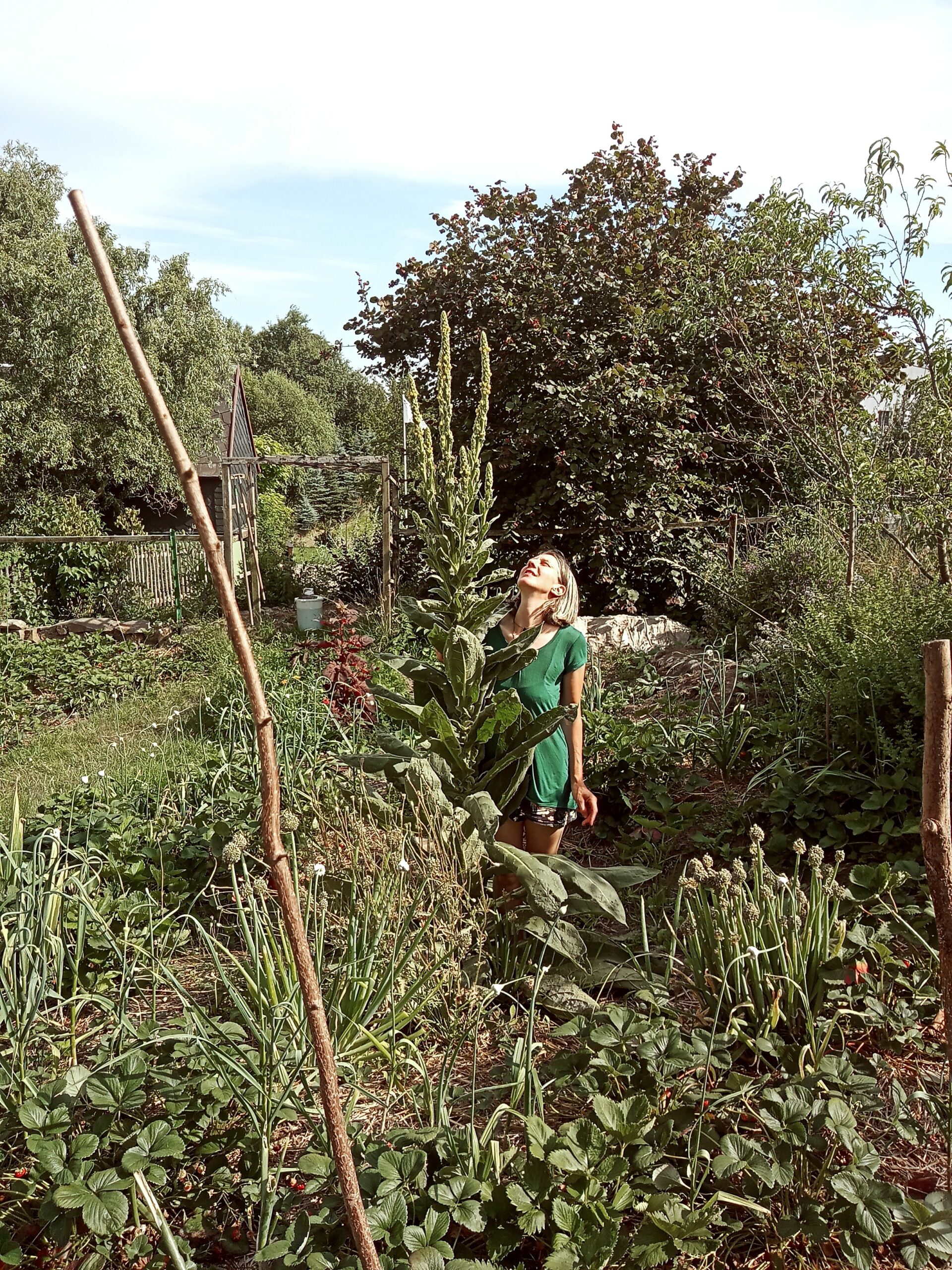 Gärtenübersicht – Tag des offenen Gartens